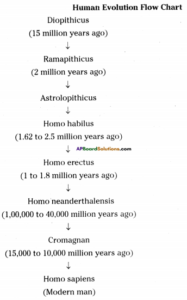 AP SSC 10th Class Biology Solutions Chapter 8 Heredity – AP Board Solutions