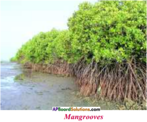 AP Board 9th Class Biology Solutions Chapter 9 Adaptations in Different ...