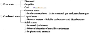 AP SSC 10th Class Chemistry Important Questions Chapter 14 Carbon and ...