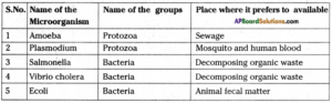 AP Board 8th Class Biology Solutions Chapter 3 Story of Microorganisms ...