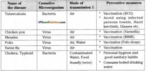 AP Board 8th Class Biology Solutions Chapter 3 Story of Microorganisms ...
