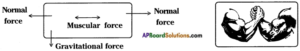 AP Board 8th Class Physical Science Solutions Chapter 1 Force – AP ...