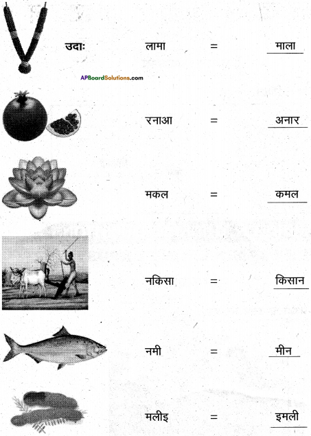 AP Board 6th Class Hindi Solutions Chapter 2 तितली – AP Board Solutions