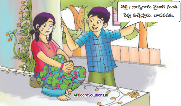 AP Board 6th Class Telugu Solutions Chapter 10 AP 