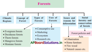AP 7th Class Social Notes 2nd Lesson Forests – AP Board Solutions
