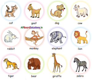 AP Board 1st Class English Solutions Lesson 6.2 Animals Around Us – AP ...