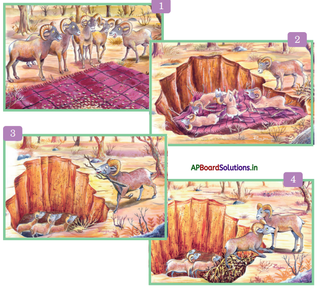 AP Board 4th Class Telugu Solutions 2nd Lesson గోపాల్ తెలివి – AP Board ...